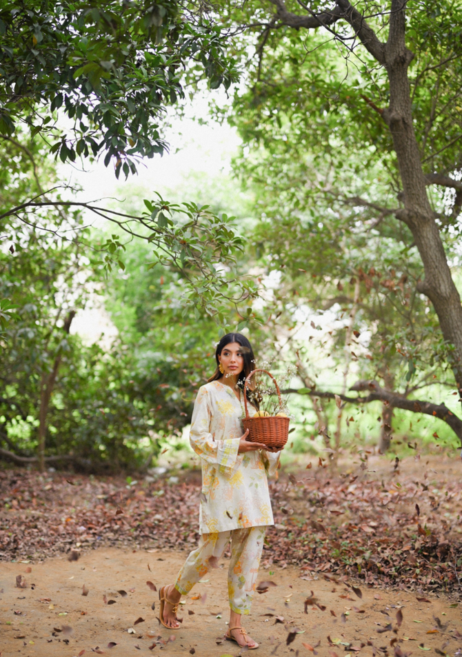 Collections – Solids International