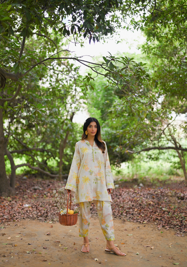 Collections – Solids International