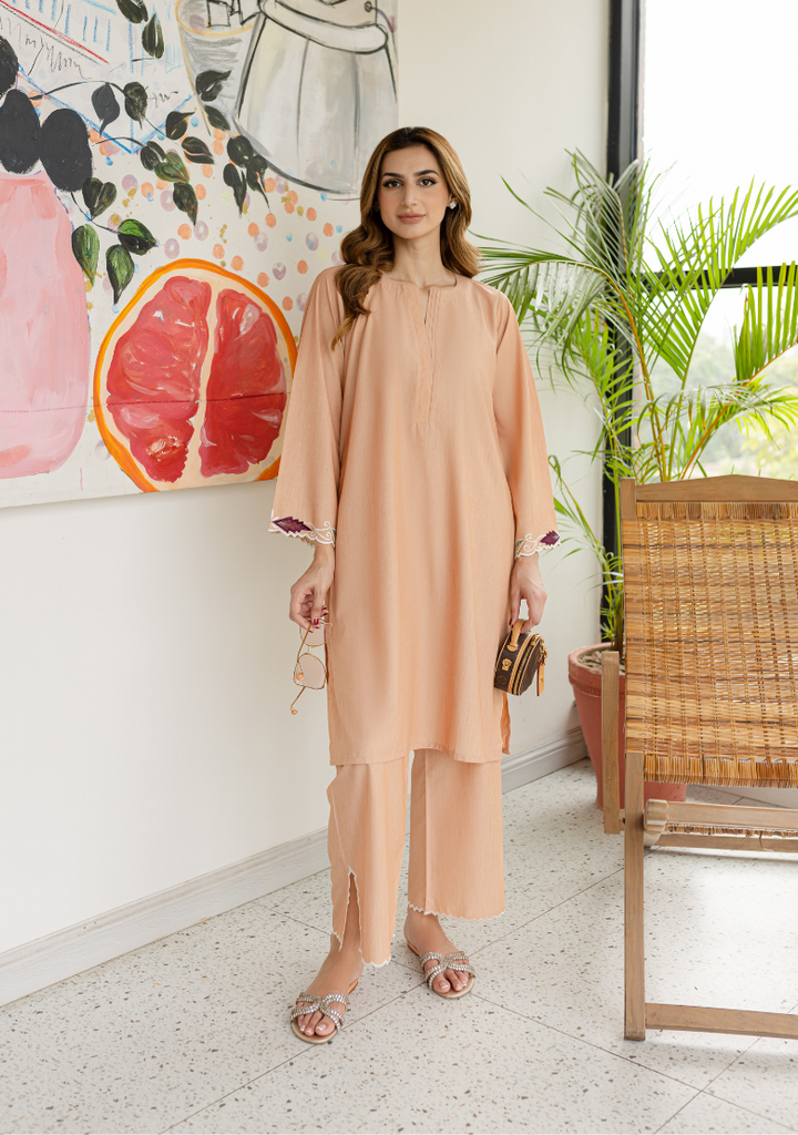 Salmon Embroidered Set – Solids International